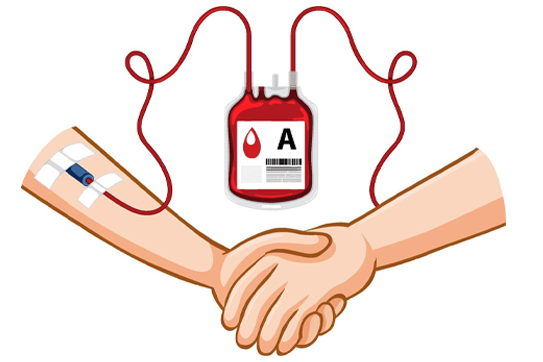 Blood Bank | Blood Donation | Blood Transfusion in Mathura | KD Hospital